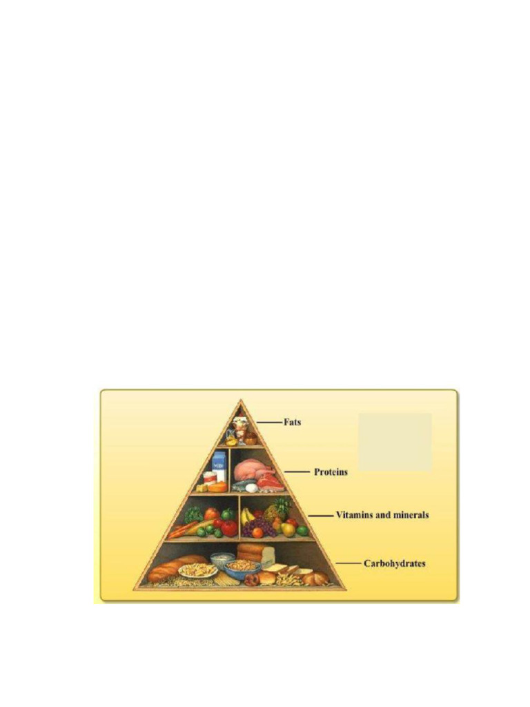 Lecture 1 Food Constituents and Human Nutrition | PDF | Fat | Foods