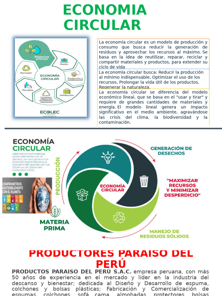 CIYNTHIA - Economia Circular | PDF | Reciclaje | Residuos