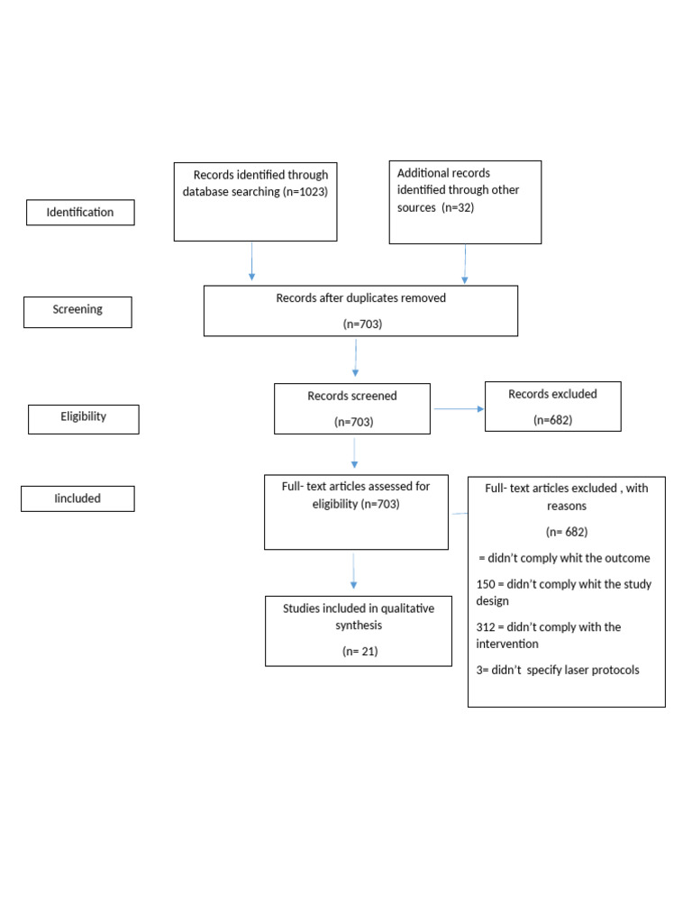 Systematic Review Screening Process | PDF