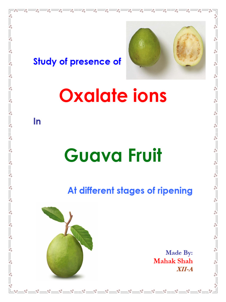 Oxalate Ion Levels in Guava Ripening | PDF