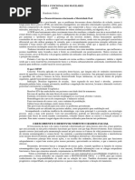 Folder IDDSI Completo | PDF