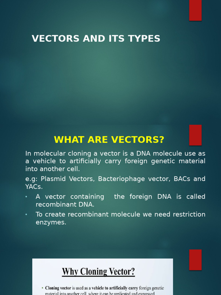 Molecular Cloning Vectors Guide | PDF | Molecular Cloning | Plasmid