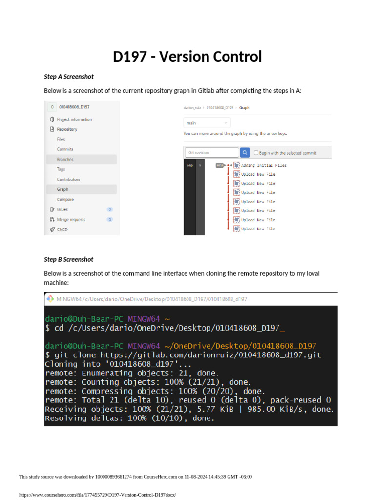D197 Version Control D197 | PDF | Version Control | Computing