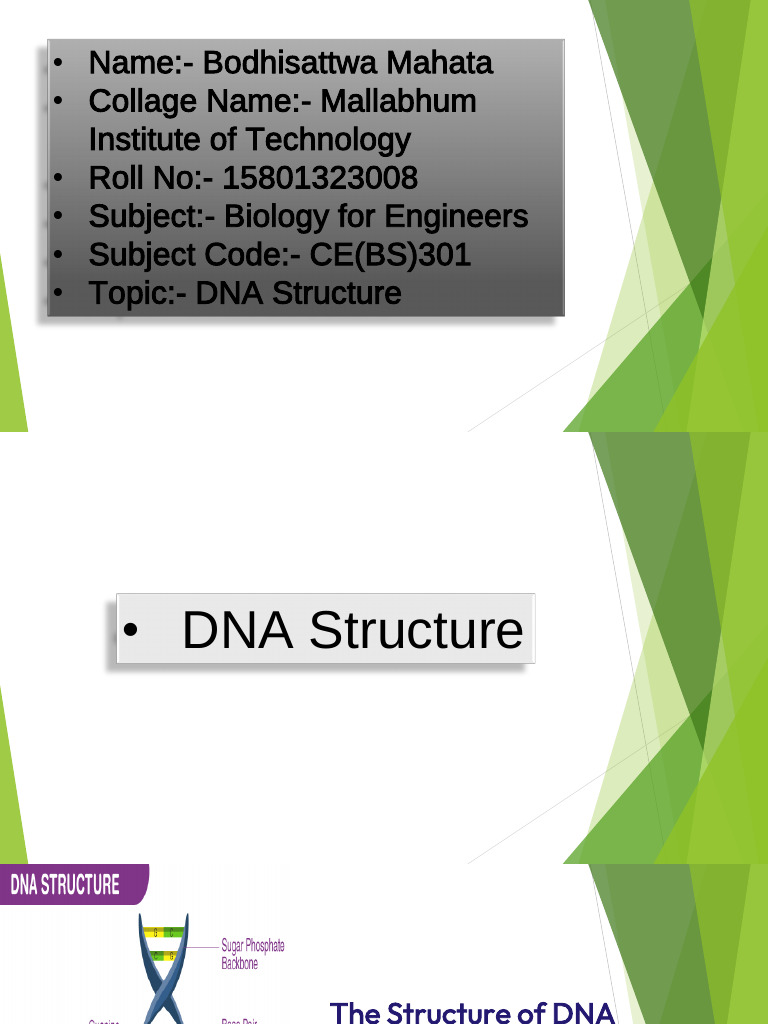 DNA Structure | PDF | Dna | Dna Replication