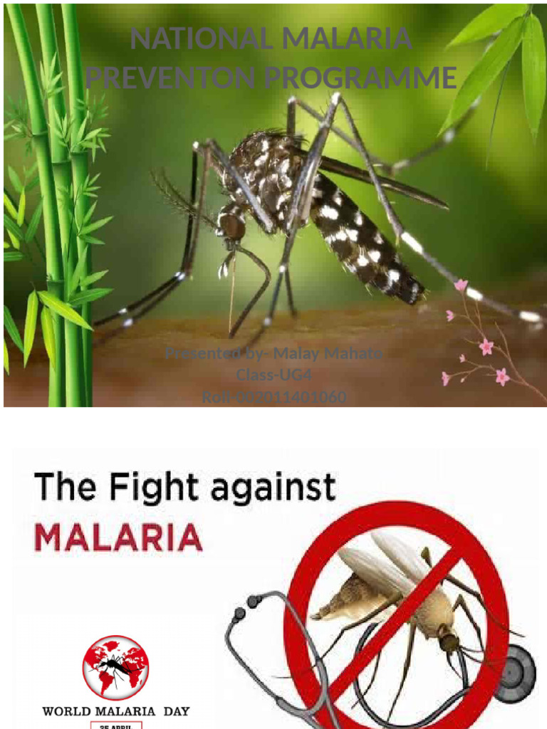 Malaria Prevention Program PPT (RB Maam) Malay | PDF | Malaria | Plasmodium
