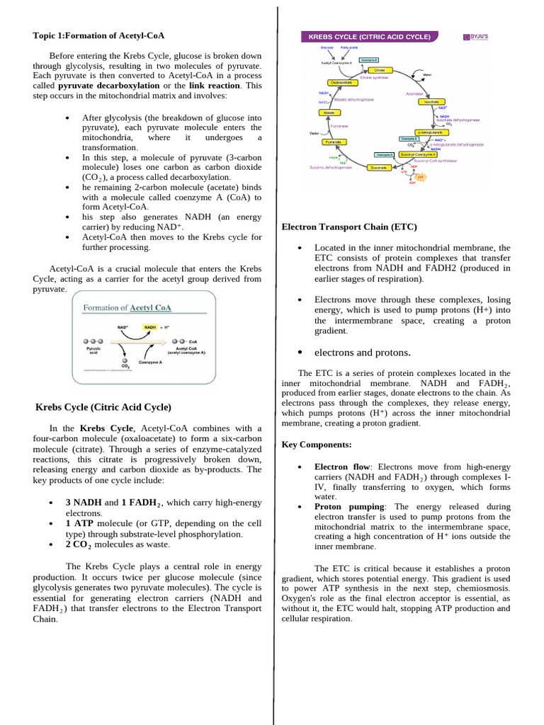 Energy Lesson 1 8 | PDF | Cellular Respiration | Adenosine Triphosphate