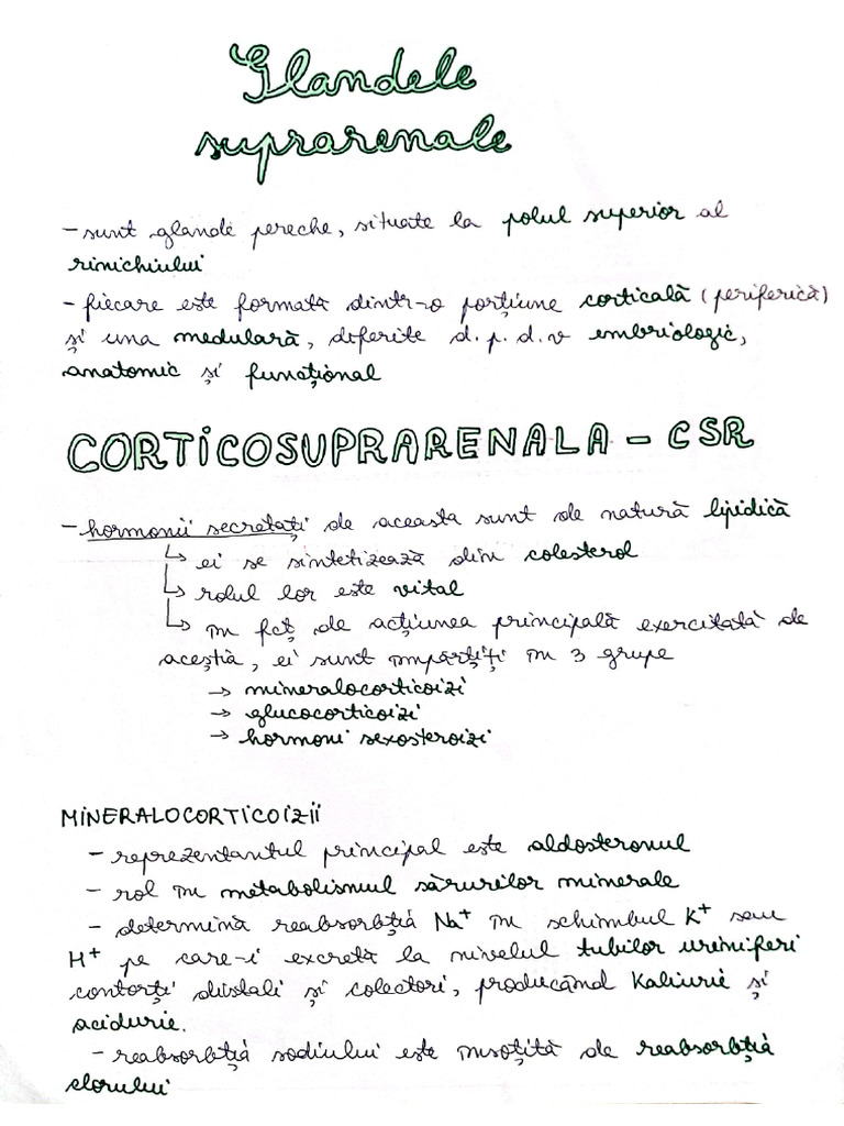 Glandele Suprarenale | PDF