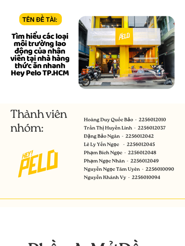 Bai Thuyet Trinh Nhom Bao Ngan | PDF