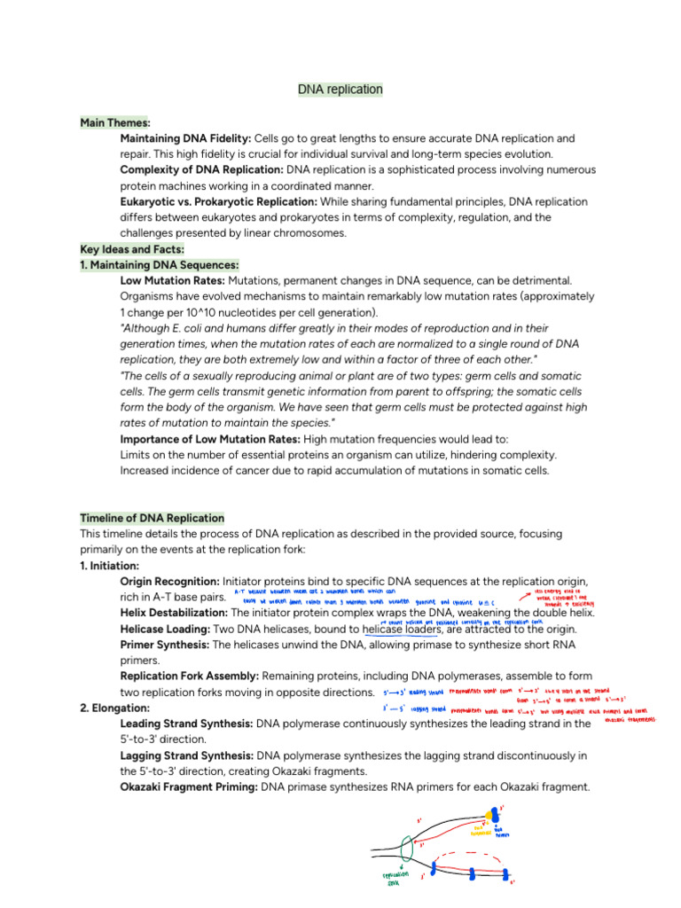 DNA replication | PDF | Dna Replication | Dna