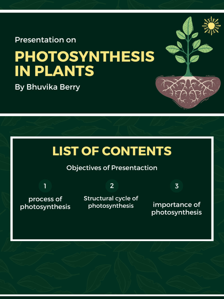 Photosynthesis PPT BY Riya | PDF | Photosynthesis | Plants