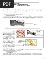 Ultrastructure Des Organites | PDF | Membrane cellulaire | Noyau (biologie)