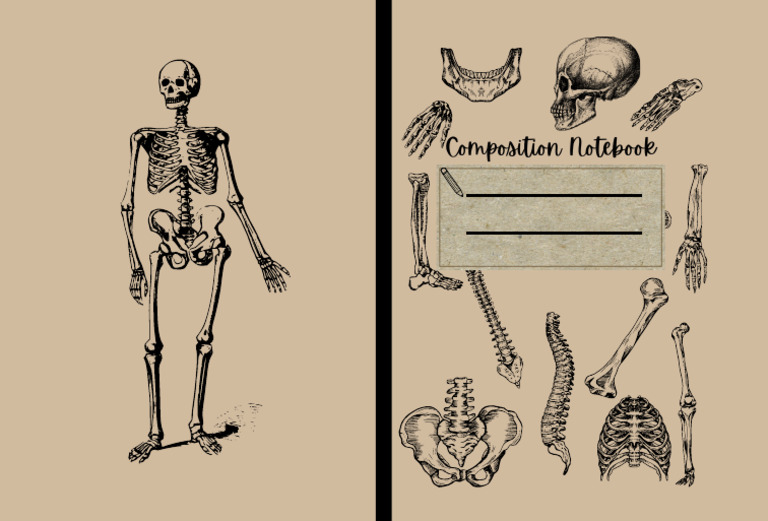 Notebook Anatomy | PDF