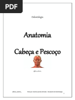 Suturas Do Crânio Resumo | PDF | Anatomia | Anatomia humana