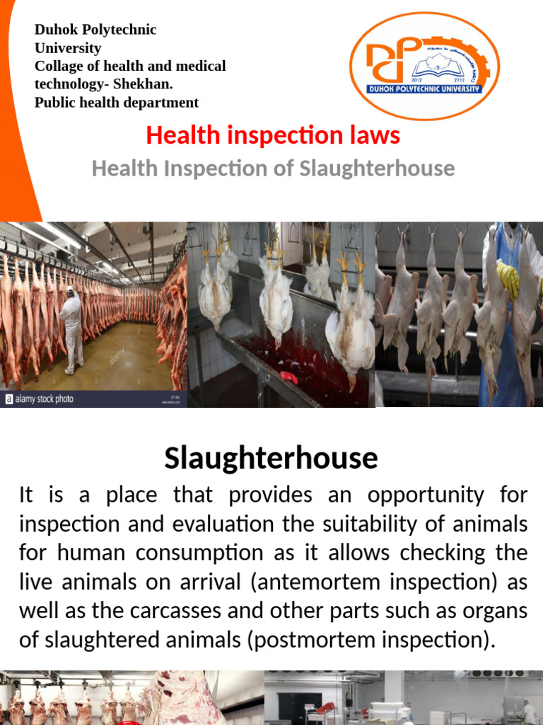 7-slaughterhouse | PDF | Meat | Water