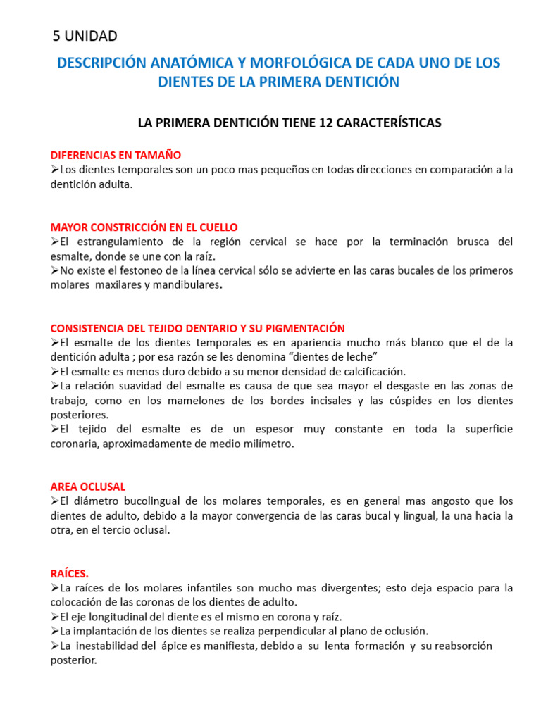 Anatomía Dental Resumen Pdf Diente Anatomia Dental