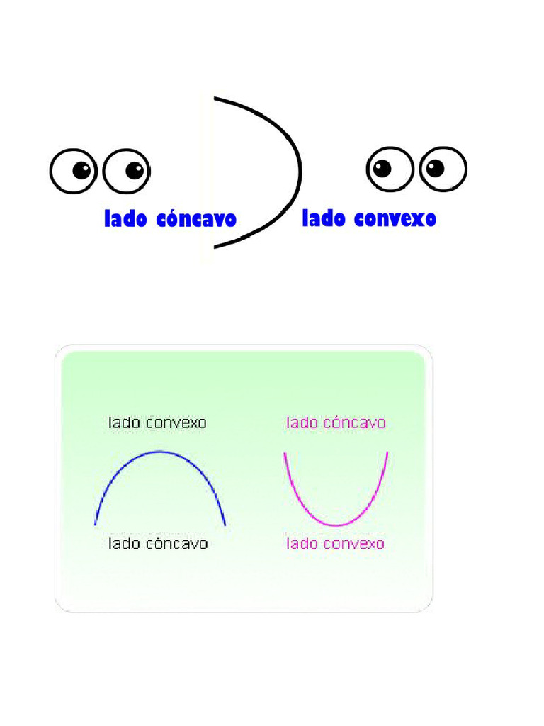 Concavo Convexo | PDF