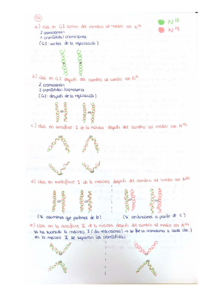 Ejercicio 10 Sem3 | PDF