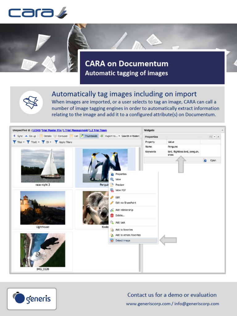 CARA For Documentum Automatic Image Tagging | PDF