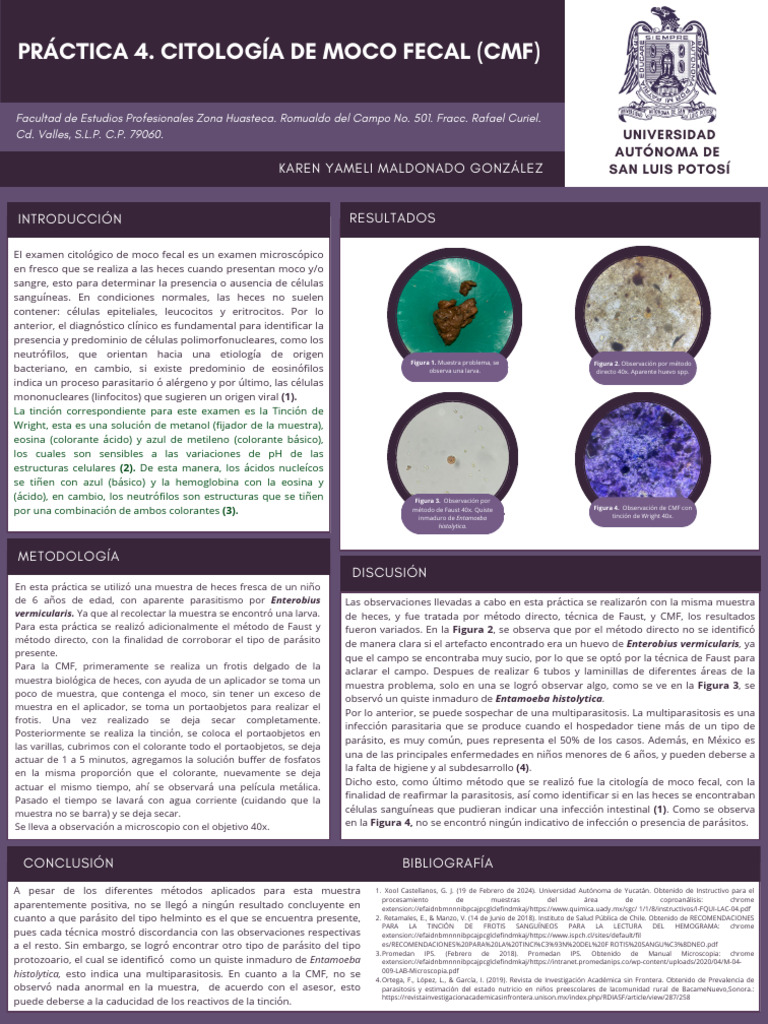 Análisis de Parásitos en Moco Fecal | PDF | Tinción | Leucocito