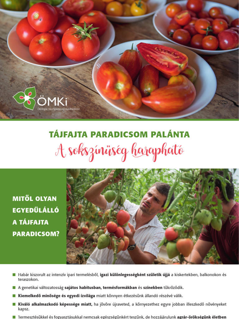 2018 Tajfajta Paradicsom Katalogus | PDF