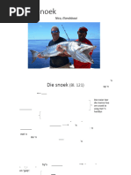 Die Snoek - Aantekeninge en Vrae | PDF