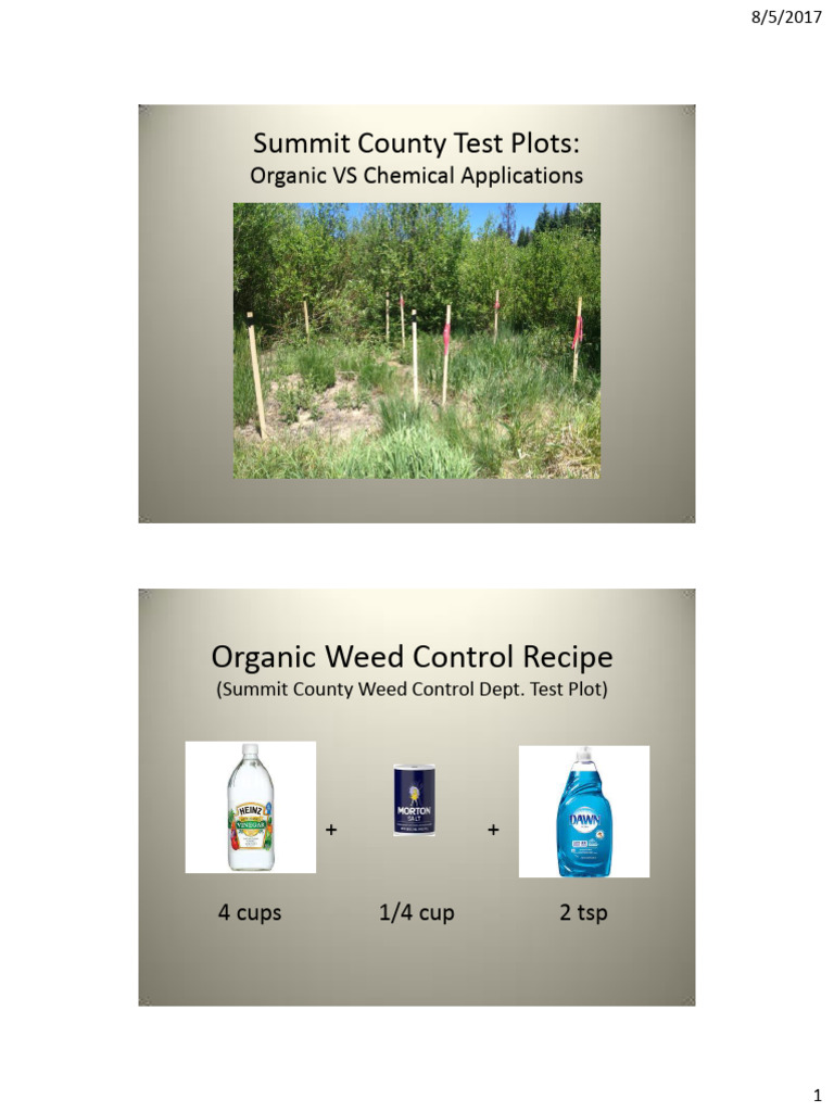 Organic Vs No Organic Herbicide | PDF | Herbicide | Pesticide