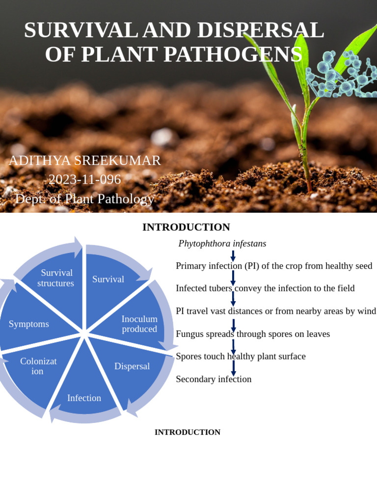 Survival and Dispersal of Plant Pathogens-Laptop-Kbm4osru | PDF ...