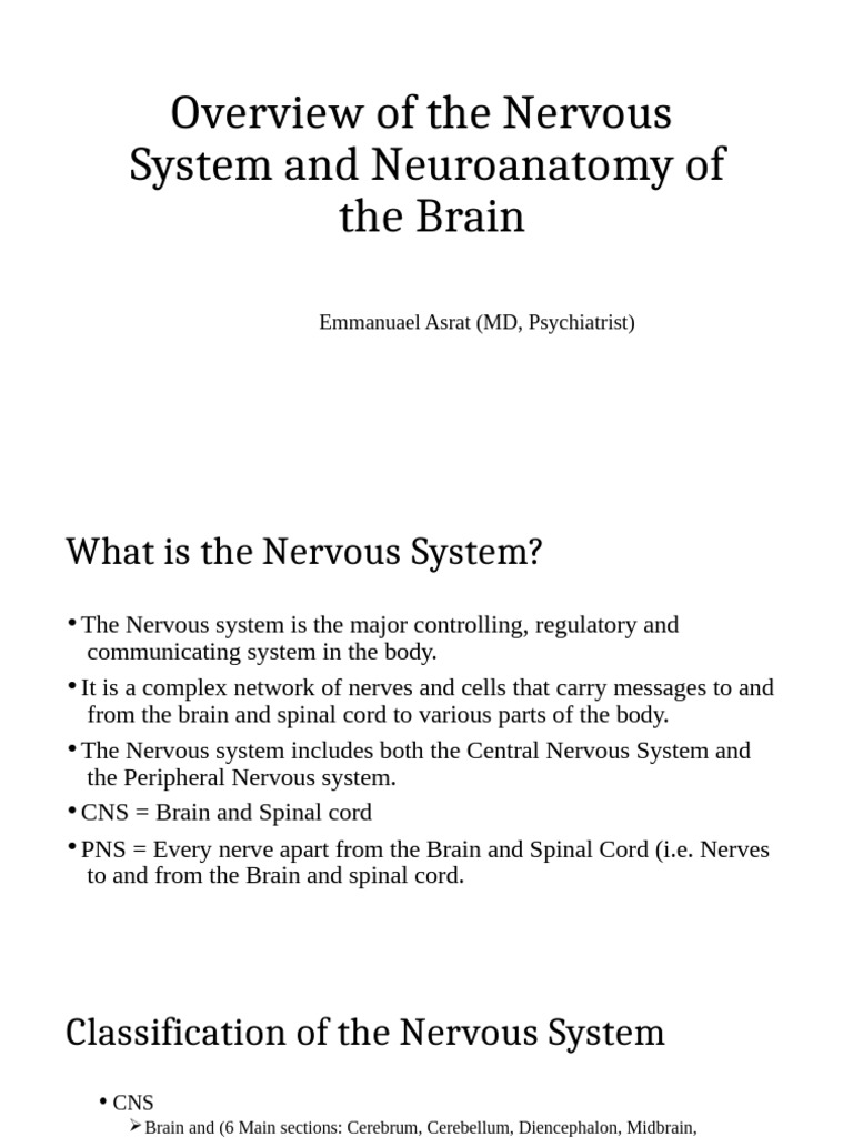 Overview of The Nervous System and Neuroanatomy | PDF | Central Nervous ...