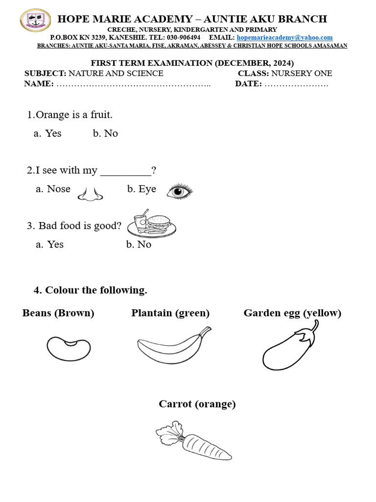 Nursery One First Term Exams 2024 | PDF