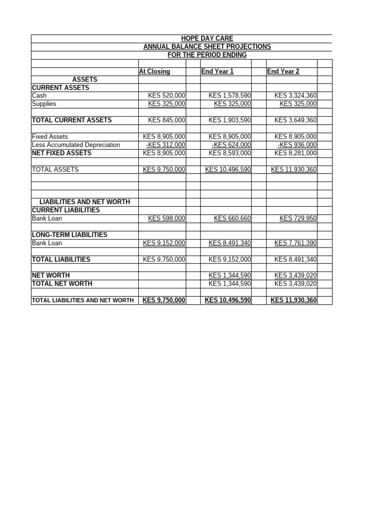 Annual Bal Sheet Projection | PDF