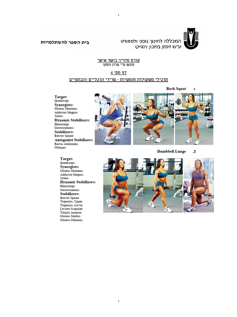 Exercises For The Legs and Shoulders | PDF | Lower Limb Anatomy | Human ...
