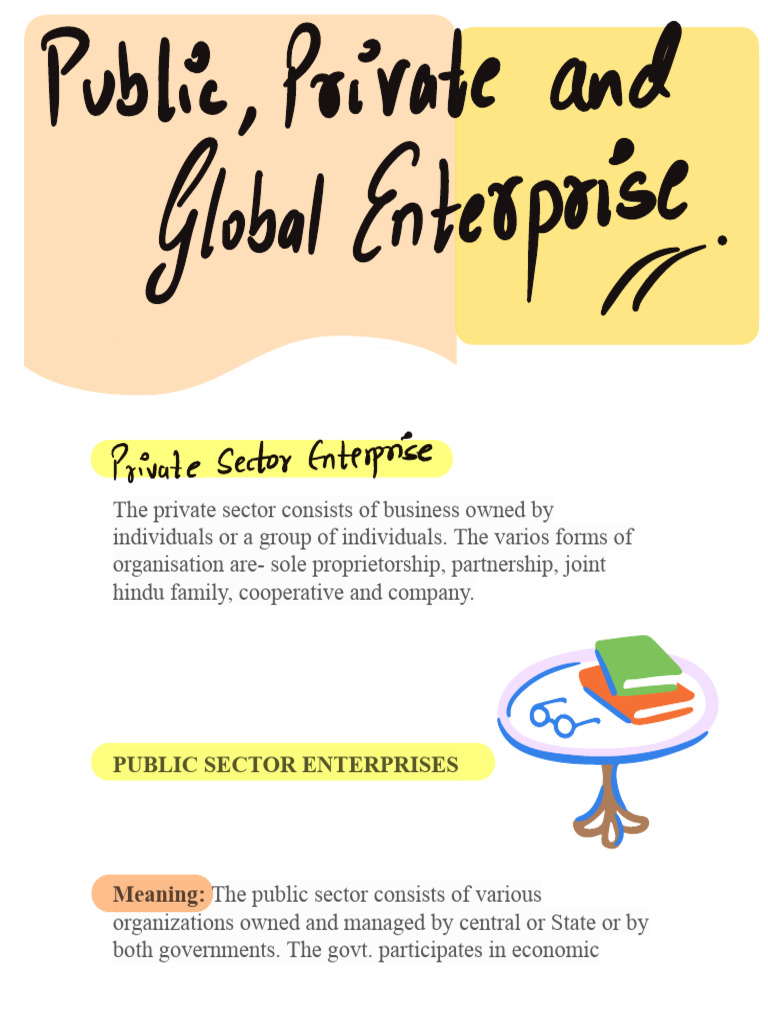 Public vs. Private Sector Enterprises Guide | PDF | Multinational ...