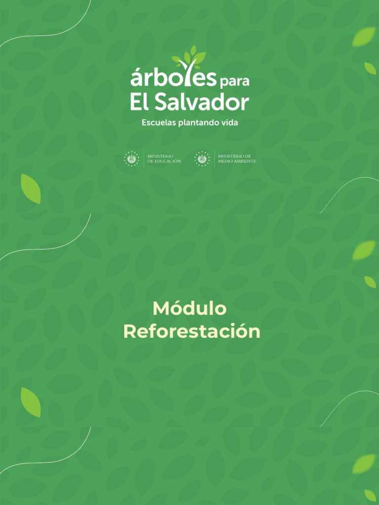 Tema 2 Como Puedes Reforestar | PDF | Plantas