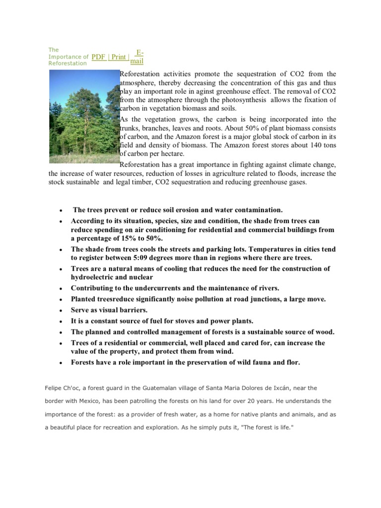 The Importance of Reforestation | PDF | Soil | Ecosystem Services