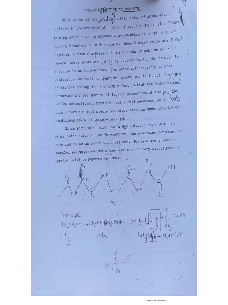 BCH 201 (Note 2) | PDF