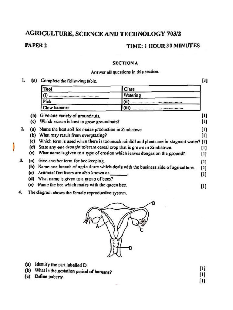 Exam 6 Agri Scie ICTpa 2 | PDF