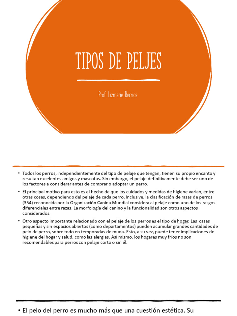 Tipos de pelaje en perros y cuidados | PDF | Yorkshire Terrier | Piel