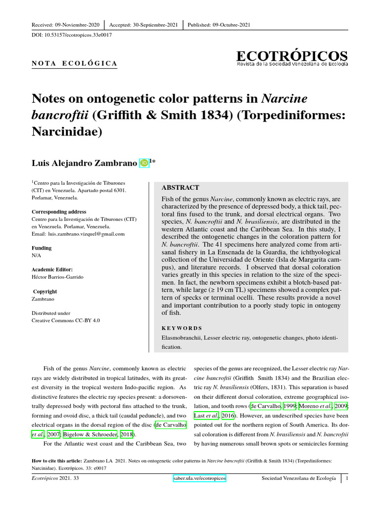 Notes On Ontogenetic Color Patterns Innarcinebancroftii (Gri Ith ...