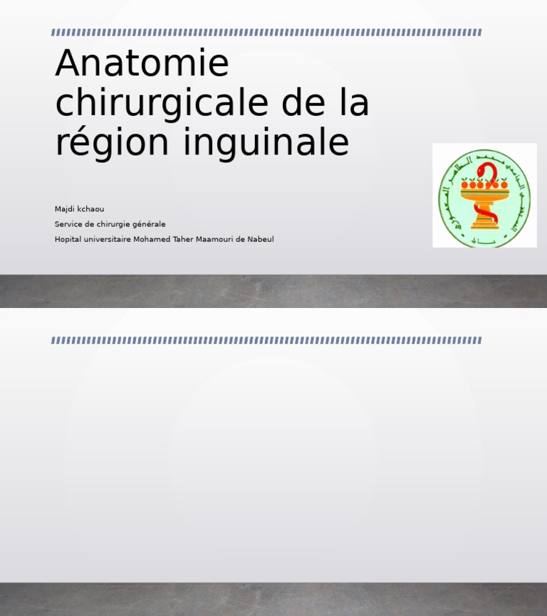 Anatomie chirurgicale inguinale | PDF
