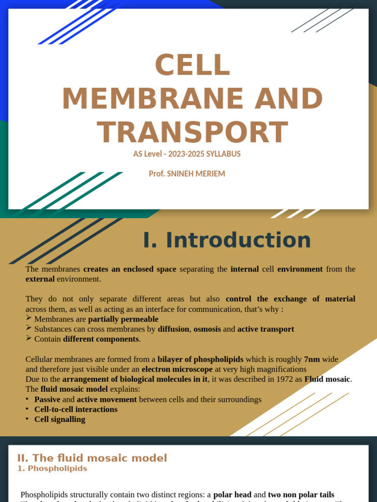 4 - Cell Membrane and Transport | PDF | Cell Membrane | Phospholipid