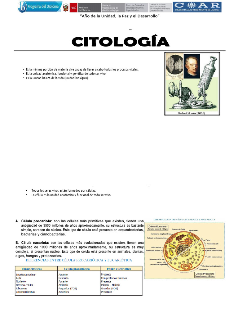 Introducción a la Citología Celular | PDF | Biología Celular) | Citoplasma