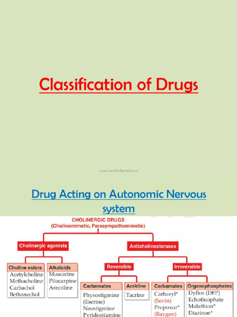 Pharmacology Classification - 240308 - 160554 | PDF