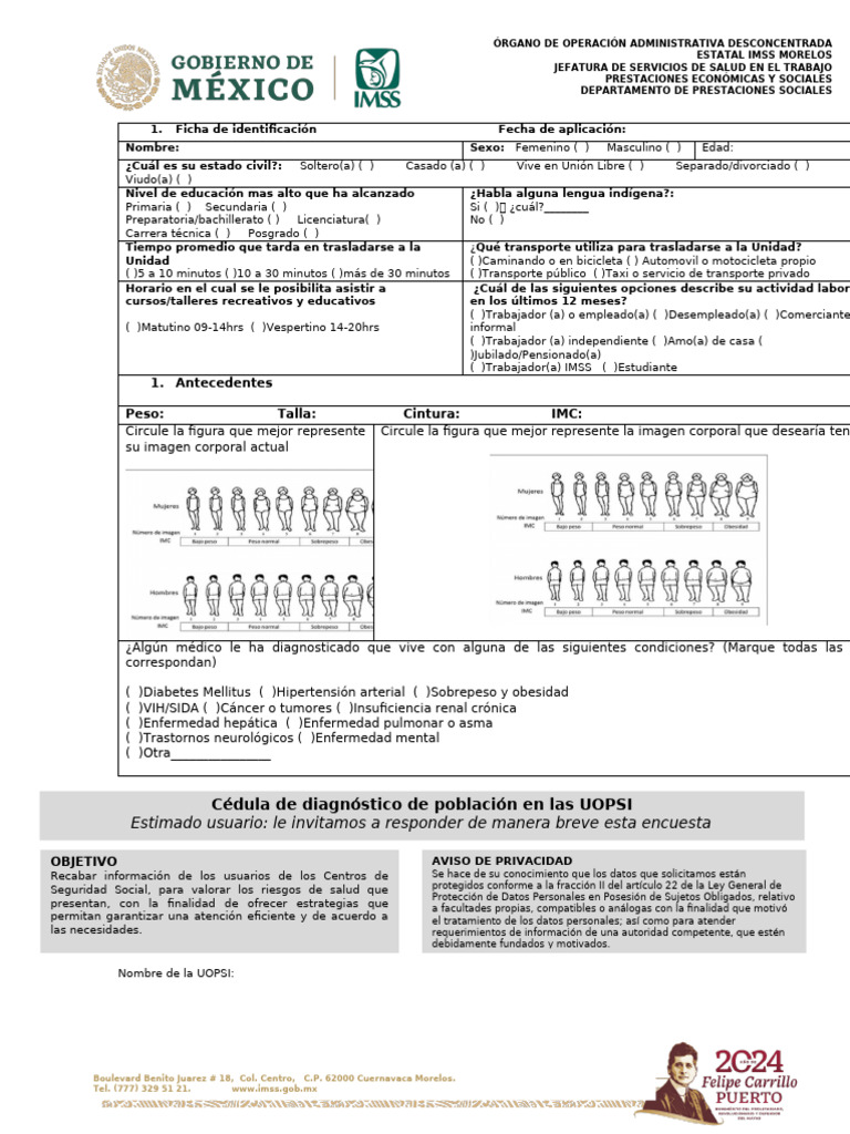 Formatos Pass 2024 | PDF | Obesidad | De fumar