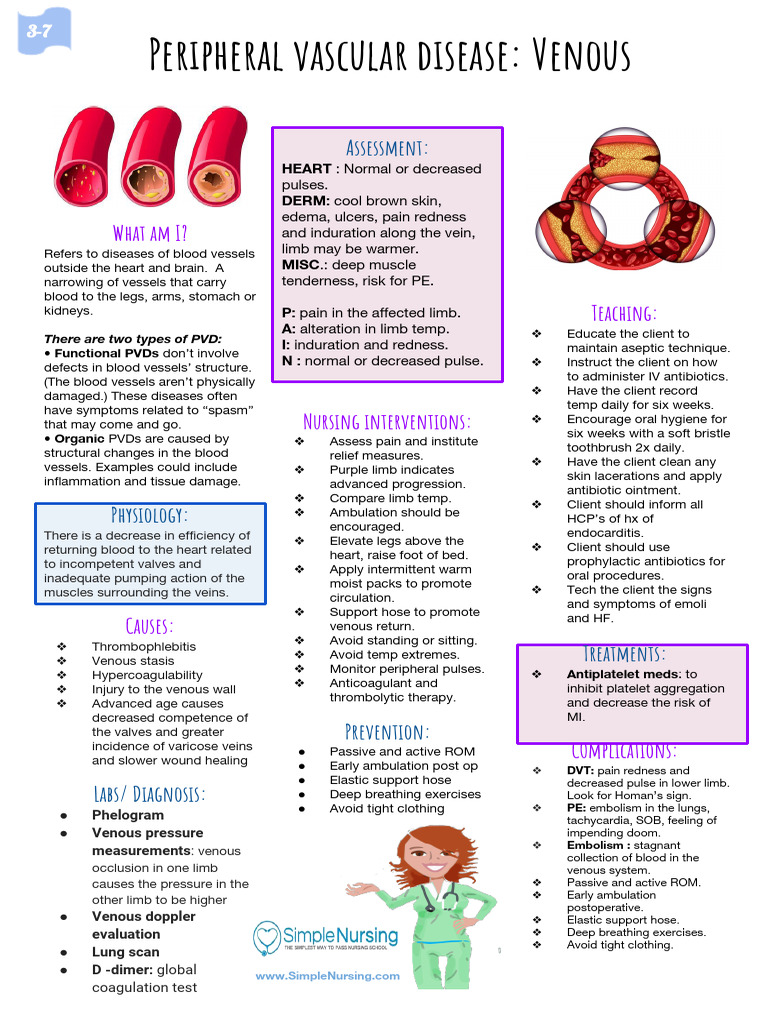 Peripheral Vascular Disease - Venous - 240816 - 044858 | PDF | Vein ...