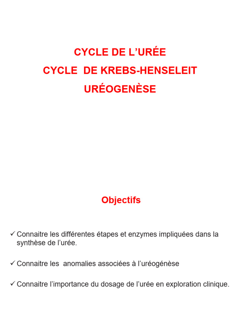 Cycle de l'urée : étapes et régulation | PDF | Métabolisme | Biochimie