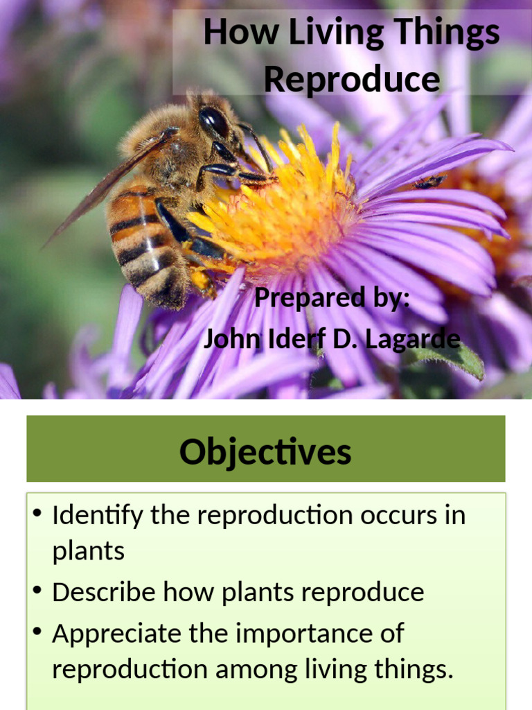 How Living Things Reproduce | PDF | Plant Reproduction | Reproduction