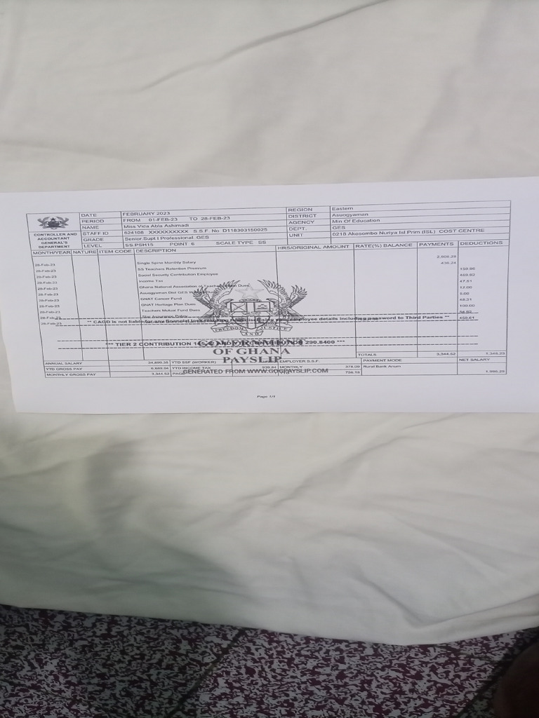 Document WPS Office | PDF