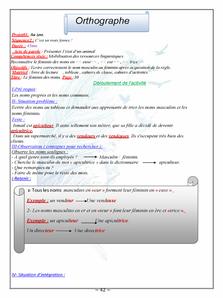 5 Ap Orthograph | PDF