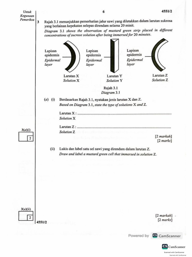 Bab 3 T4 Trial Biologi 2022 PDF | PDF