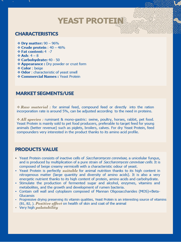 Brochure - Yeast Protein | PDF
